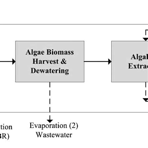 Algae Biofuel Process Defined In This Study Download Scientific Diagram
