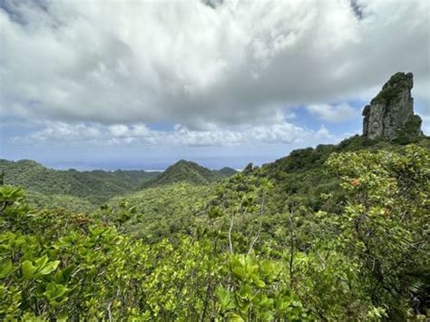 10 Best Trails And Hikes In Rarotonga Alltrails