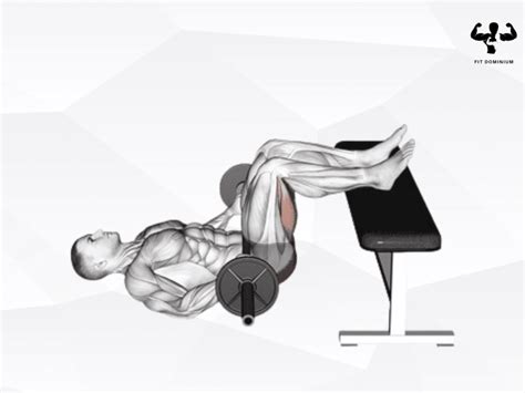 Barbell Glute Bridge How To And Benefits Fitdominium