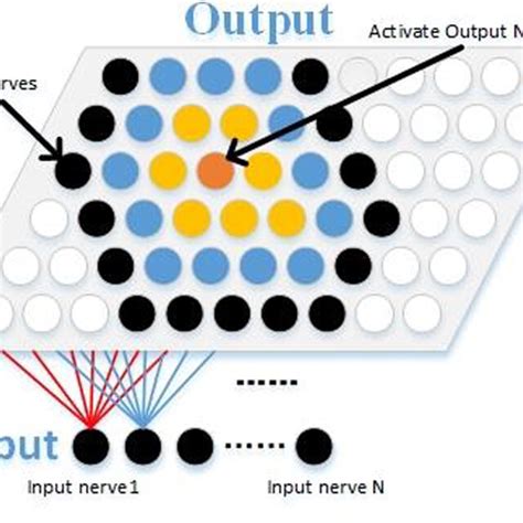 Structure Of Som Neural Network Download Scientific Diagram