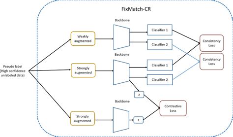 Frontiers Detection Of Unknown Strawberry Diseases Based On Openmatch