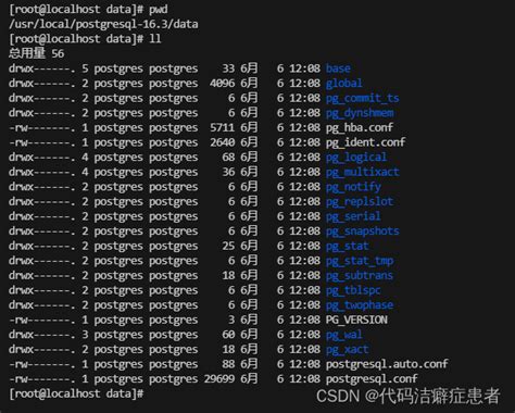 Centos 环境下 Postgresql 在线安装和源码安装详解centos安装pg数据库 Csdn博客