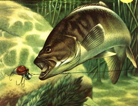Old School Tactics For Catching Fall Smallmouth Bass Outdoor Life