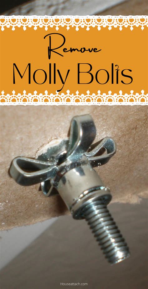 How To Remove Drywall Safely At Venus Rasch Blog