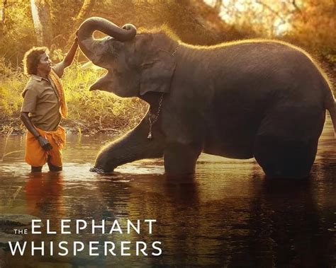The Elephant Whisperers Hindi Review द एलिफ़ेंट व्हिस्परर्स रिव्यू
