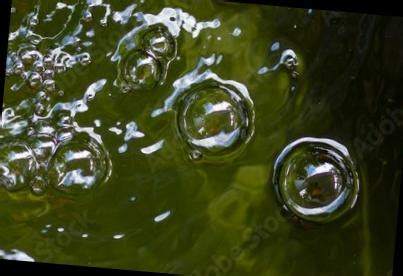 Bubble Detection Object Detection Dataset And Pre Trained Model By SRIEIT