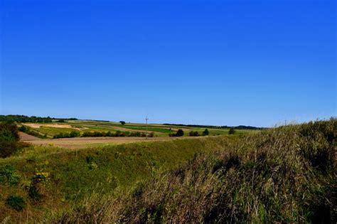 다른 언덕과 계곡뿐만 아니라 들판 목초지 초원을 보여주는 키가 큰 잔디 덮인 언덕 꼭대기에서 바라보는 경치는 구름없는 여름날에 주변에 흩어져있는 나무들입니다 0명에 대한