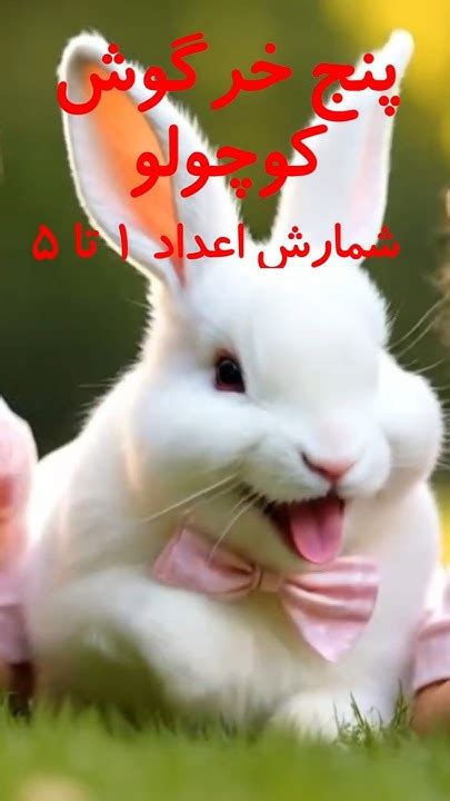 🐰🐇 تولد بچه‌ خرگوش‌ها داستان خرگوش شماره ۲ لذت شمارش کودکانه