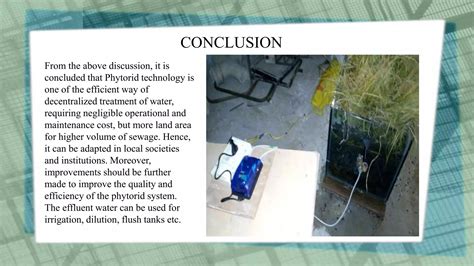 Experimental Analysis Of Phytorid Technology Installed In Sewage Pptx