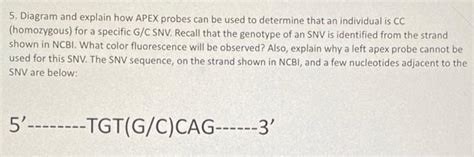 Solved 5 Diagram And Explain How APEX Probes Can Be Used To Chegg Com