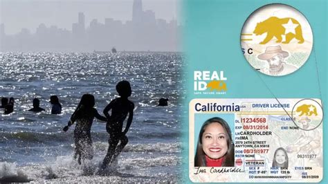 Idenficación Real Id ¿los Menores De Edad Necesitan Tramitar El