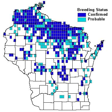 Wbba Red Breasted Nuthatch Map