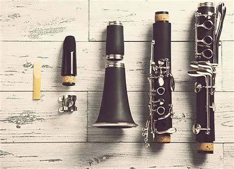 Cómo Cuidar Mi Clarinete Tips Para Mantenerlo En Buen Estado