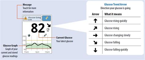 Freestyle Libre 3 Reader Continuous Glucose Monitoring System User Guide