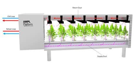 the ampl platform — agricultra™ advancements