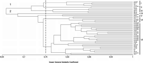Upgma Dendrogram For Morphological Traits Of 46 Faba Bean Accessions
