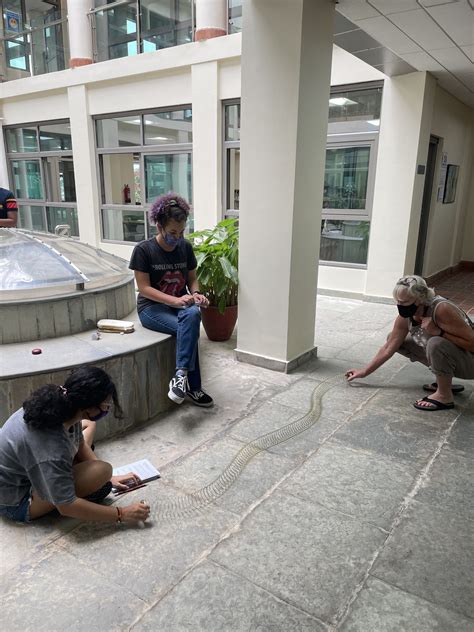 Investigating Waves In Grade 8 Science Lincoln Babe Nepal