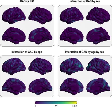 Effect Sizes From The Main Analysis For Vertex Wise Cortical Thickness