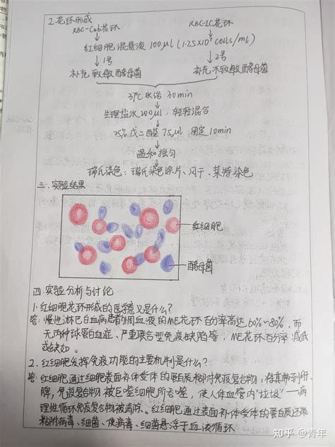红细胞黏附功能检测 细胞计数 知乎