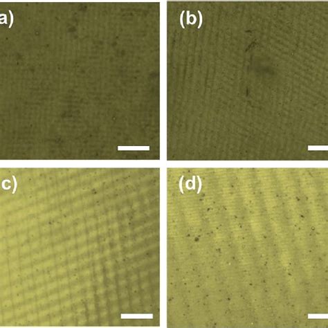 2d au square arrays fabricated by holographic dlip arrays of 25 nm