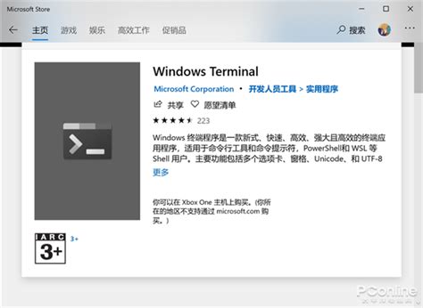 简直颜值爆表这么高大上的Windows 10命令行你见过吗 Raresoft IT Outsourcing Service