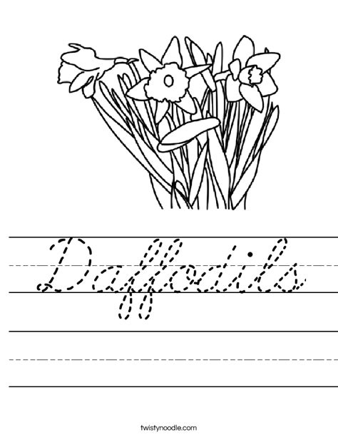Daffodils Worksheet Cursive Twisty Noodle