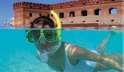 Discover The Underwater Wonders Summer Snorkeling Restless Native