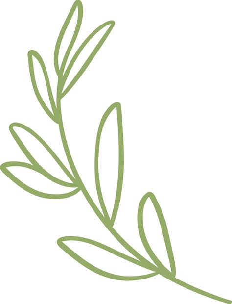 Bamboo Green Leaves Outline Decoration Illustration 35947279 Png