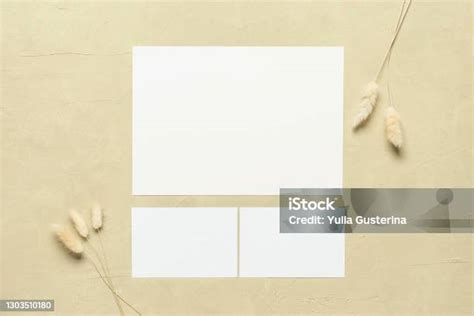 파스텔 콘크리트 배경에 빈 종이 흰색 카드 모형과 건조 라구루 상단 보기 플랫 레이 0명에 대한 스톡 사진 및 기타 이미지 0명 3가지 개체 A4 용지 Istock