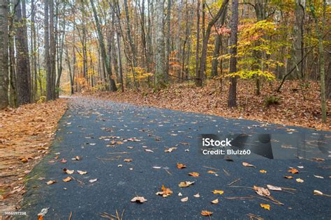 아스팔트 길은 아름다운 단풍이있는 조지아 공원을 통해 확장됩니다 0명에 대한 스톡 사진 및 기타 이미지 0명 10월 가로수 Istock