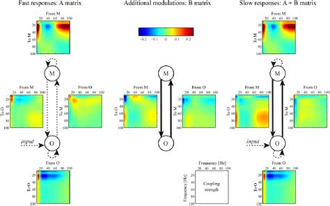 Figure 76 From Nonlinear Coupling Between Occipital And Motor Cortex