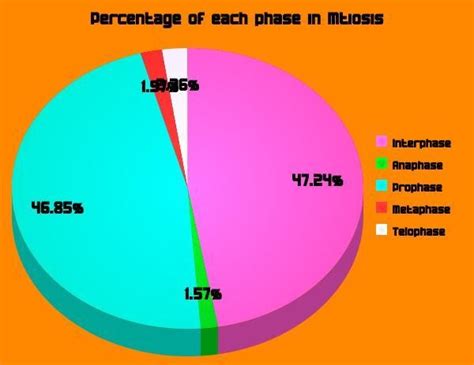 Knowledge Dumpster Mitosis