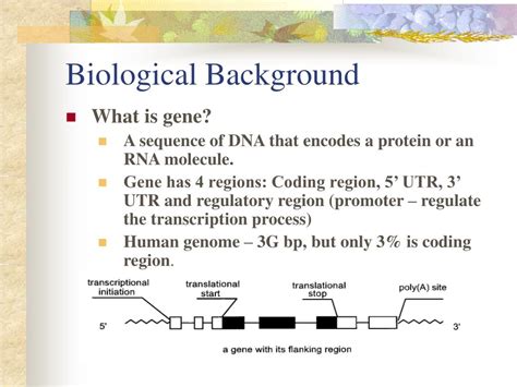 Ppt Cs5238 Combinatorial Methods In Bioinformatics Powerpoint