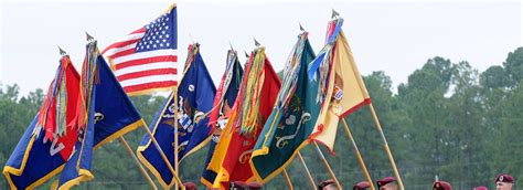 Staff Pole And Spear Guidons Staff Pole Spear
