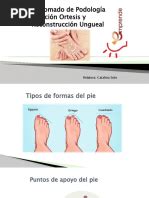 Arcos Plantares Pdf Pie Sistema Esquelético