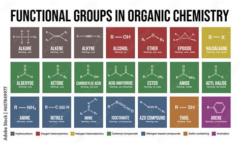 Functional Groups In Organic Chemistry Vector Editable Stock Vector