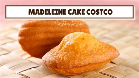 Madeleine Cookies Individually Wrapped Madeleine Cookies Individually