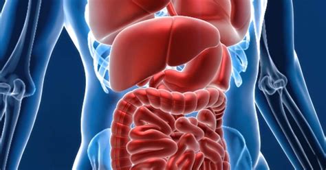 In Vitro Plasma Protein Binding Assay Xenotech Xenotech A Bioivt