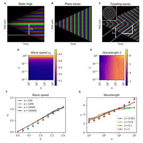 Parameter Dependence Characterization For 1d Model A C Kymographs
