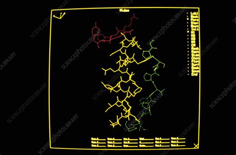 Molecule Of Pancreatic Polypeptide Stock Image A611 0004 Science Photo Library