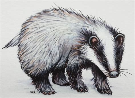 Badger Class Year 2 Moreton C Of E Primary School Essex
