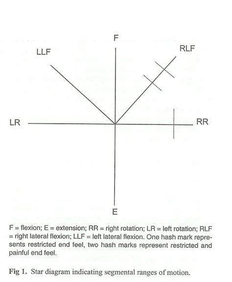 Lumbar Range Of Motion Chart Range Of Motion Chart How To Pronounce