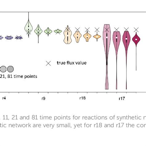 Enrichment Curve Fitting For Reversed Exponential Decay And Double