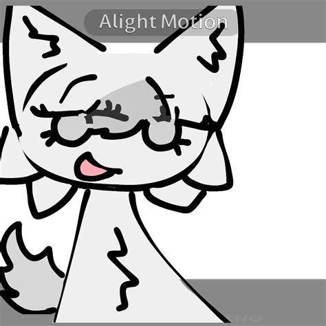 Wenda Cute Cat Edits Compilation Tiktok