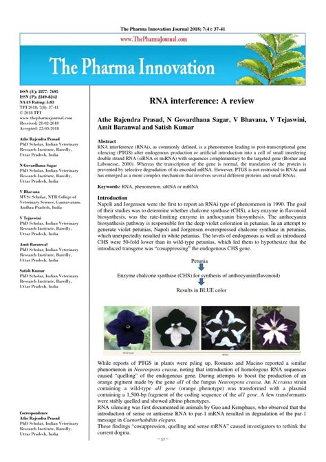 PDF RNA Interference A Review