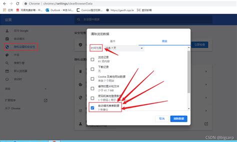 chrome浏览器清除已保存的输入框自动记忆下拉框历史记录 谷歌浏览器输入框记忆功能 csdn博客