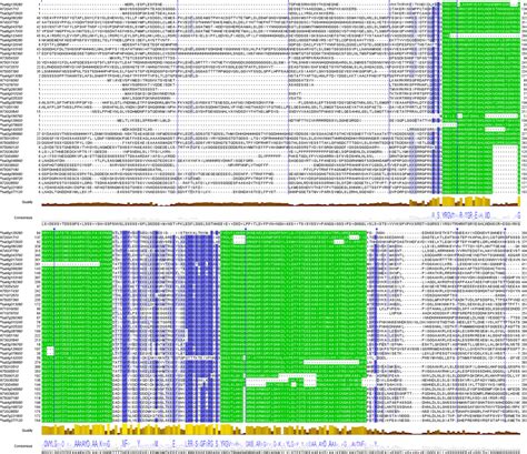 Multiple Sequence Alignment Of AP Subfamily The AP ERF Domains Are Download Scientific