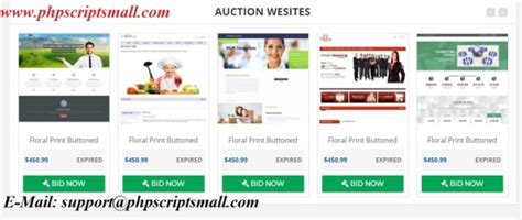 action script online auction script auction script php domain