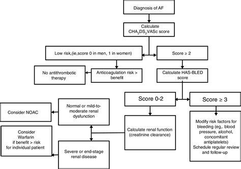 Nonvitamin K Oral Anticoagulants In Patients With Atrial Fibrillation