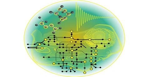 Metabolic Network An Interconnected Network Assignment Point